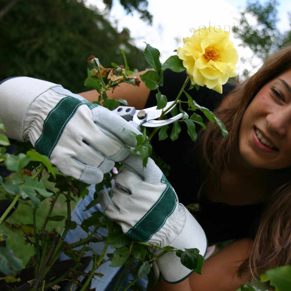 planto GmbH - planto garden accessories